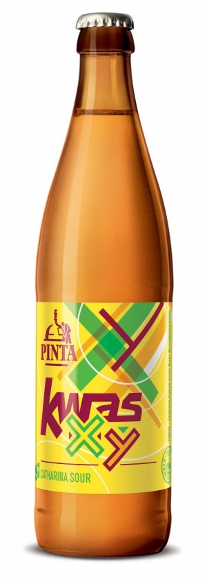 Pinta Piwo Pinta Kwas Xy 0,5l Butelka - Kultura Smaku